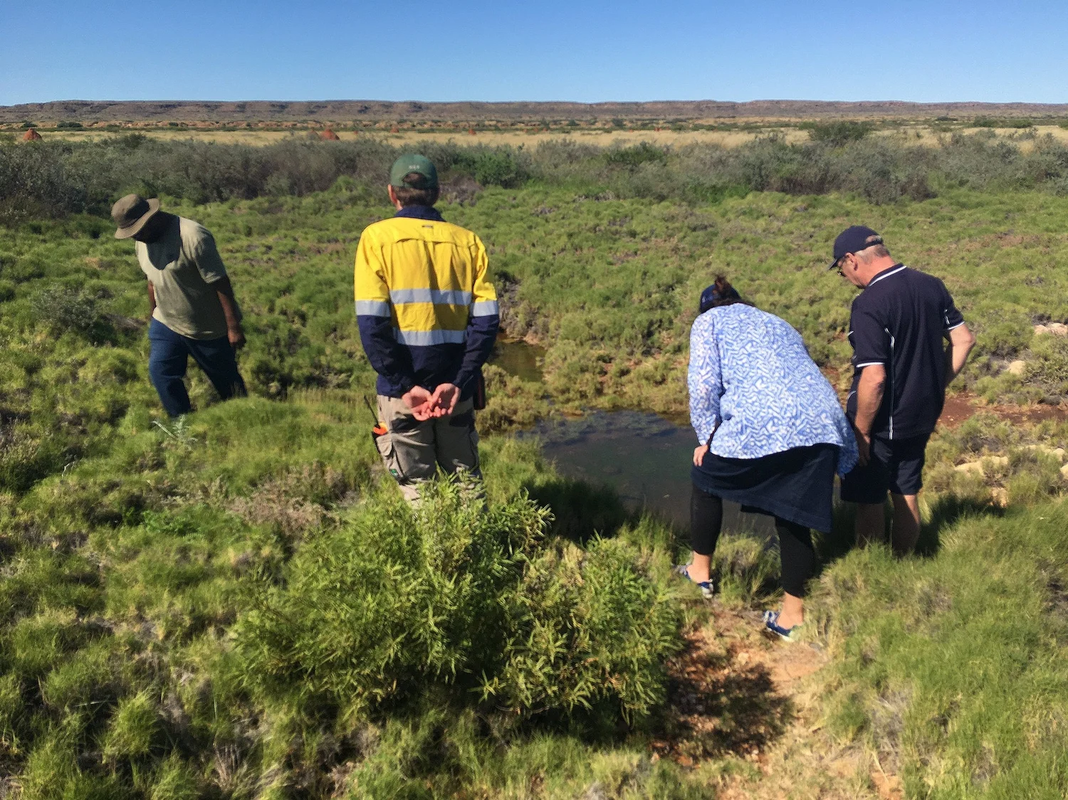 Services | Acacia Cultural Heritage Consulting: Indigenous Heritage ...