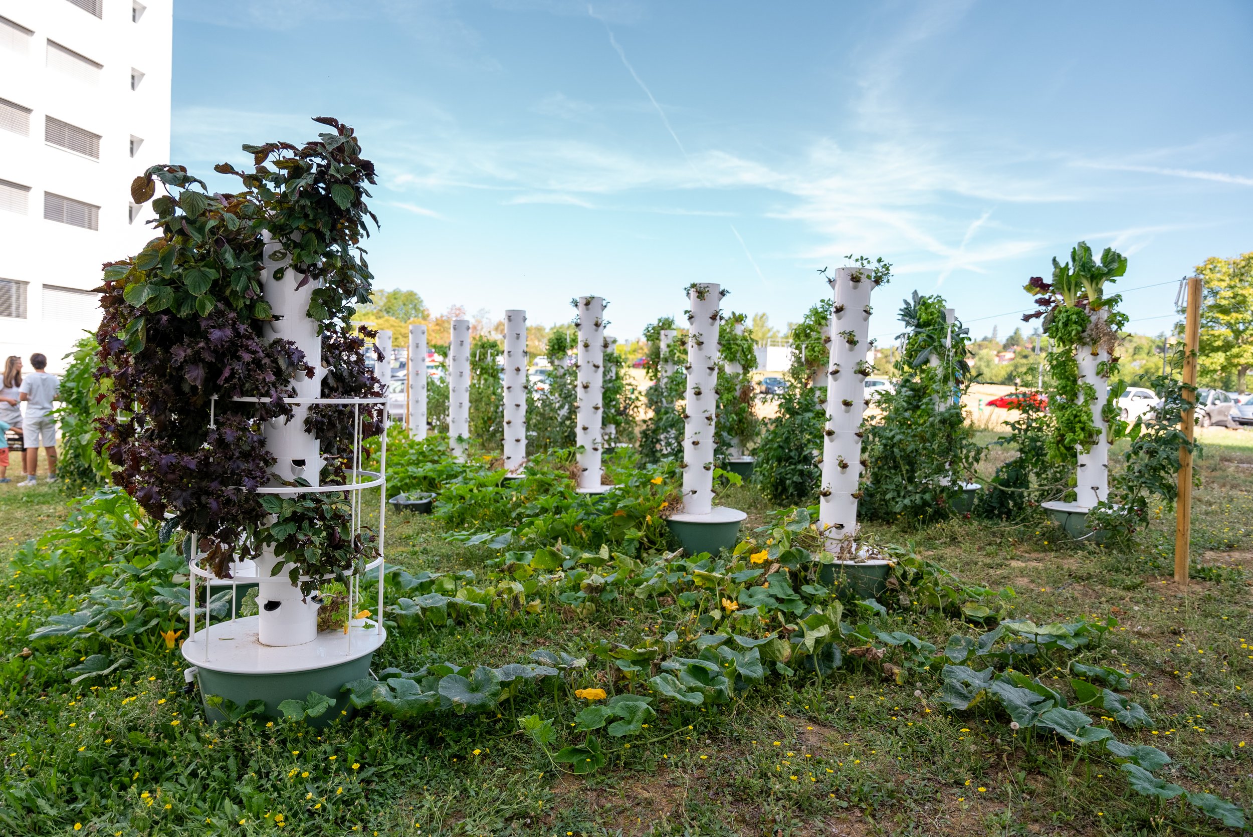 Blog — Les Fermes Ionaka - production aéroponique de légumes en France