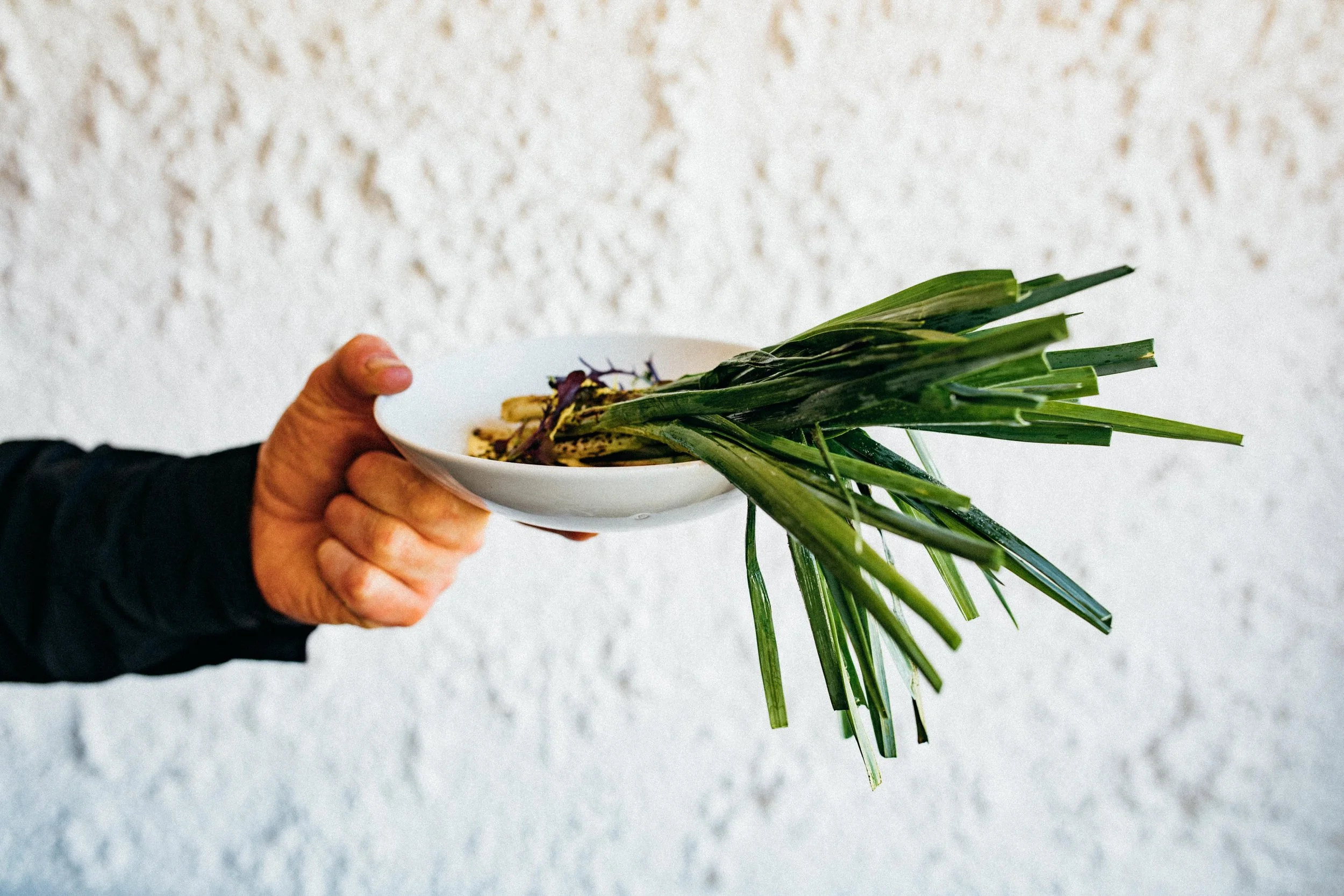 MUMMUCC' ~ Neighbourhood Wine Bar Wembley