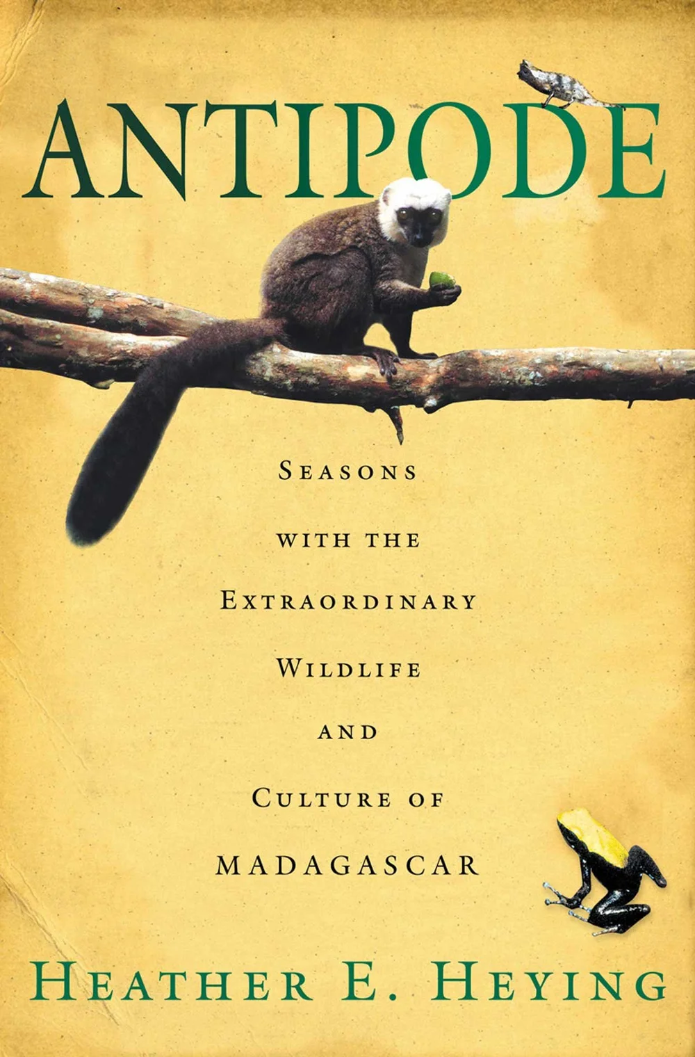 DarkHorse Podcast — Heather Heying