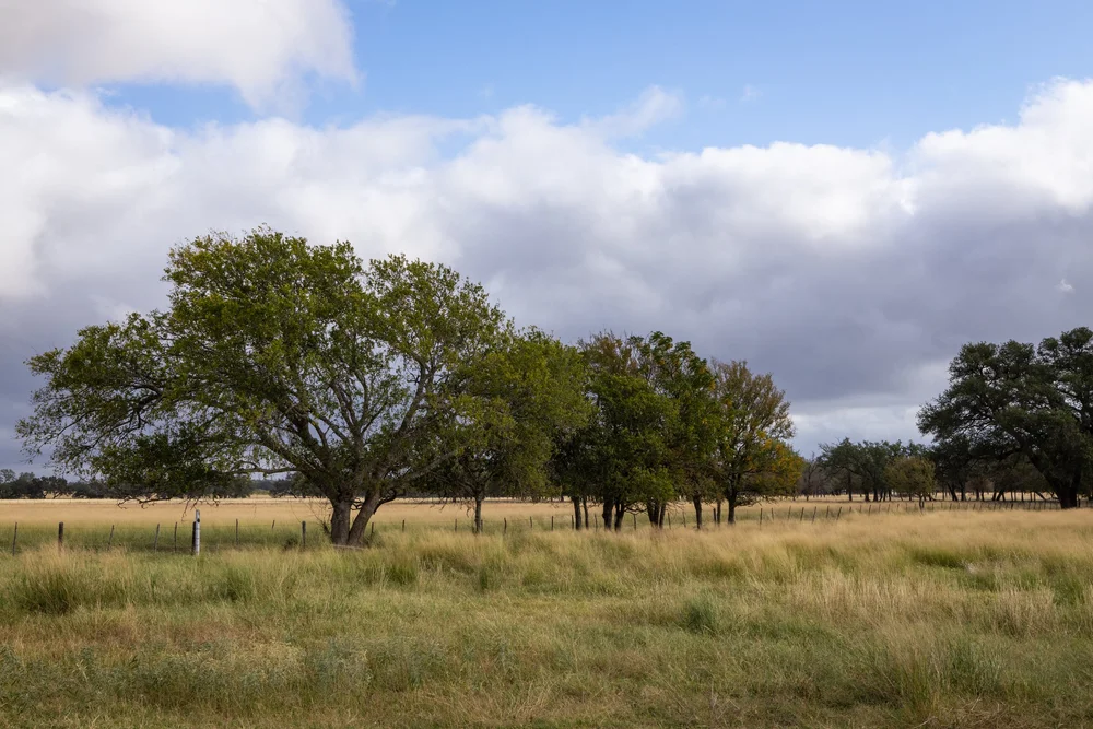 Lots — HOMESTEAD 24