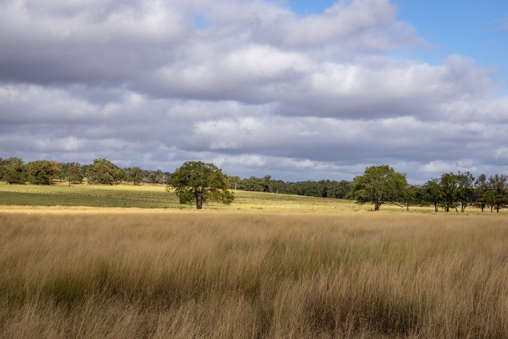 Lots — HOMESTEAD 24