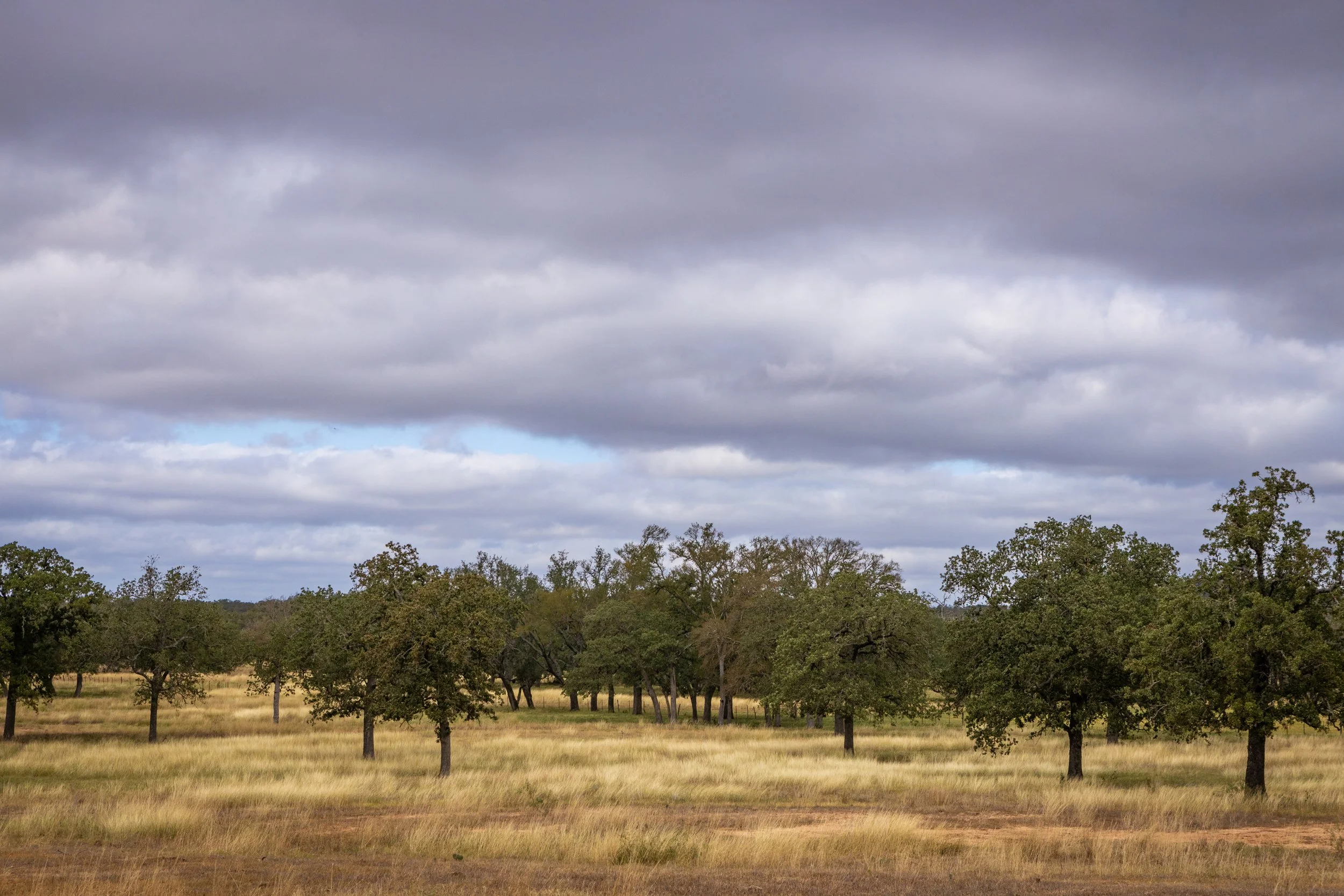 Lots — HOMESTEAD 24