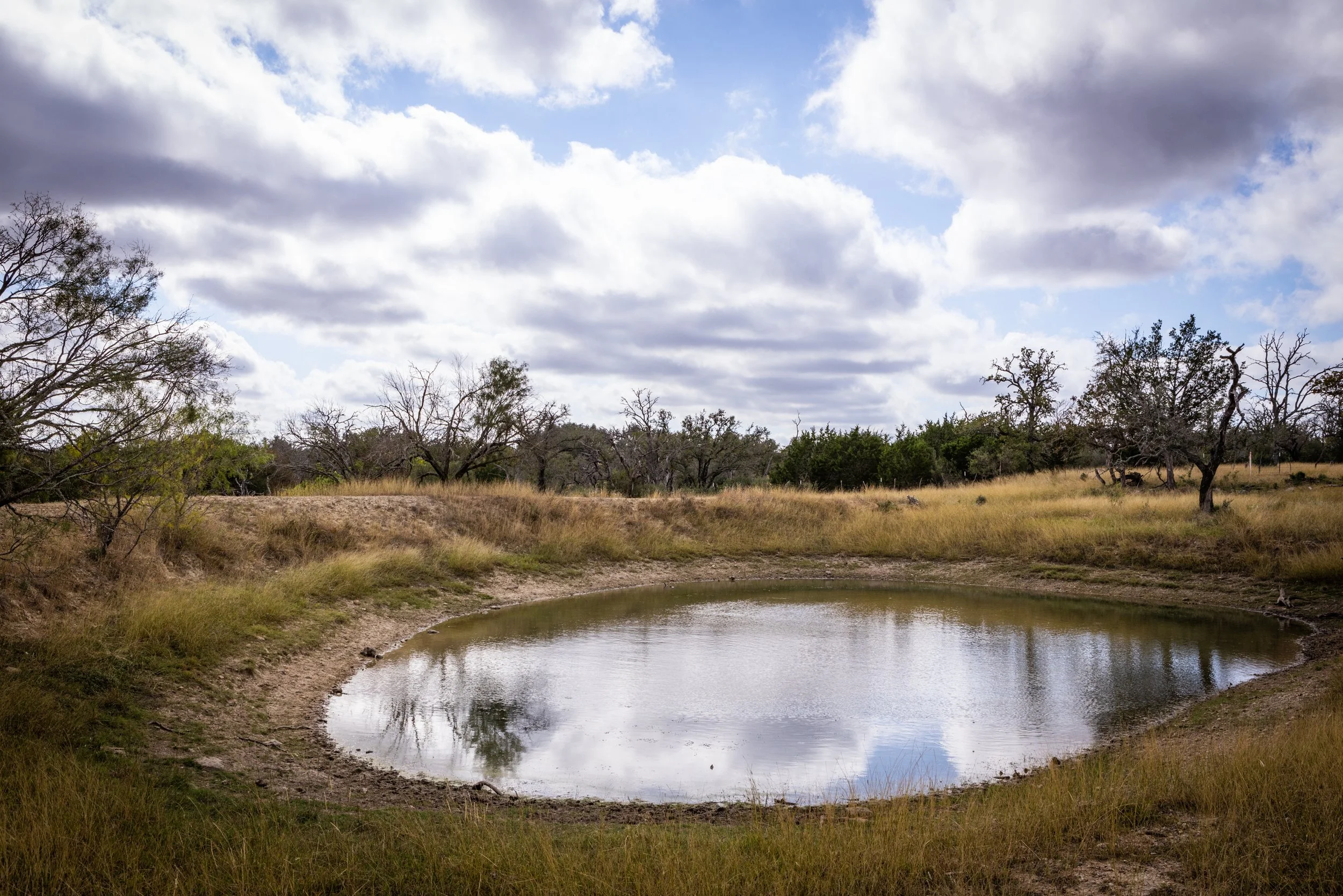 Lots — HOMESTEAD 24