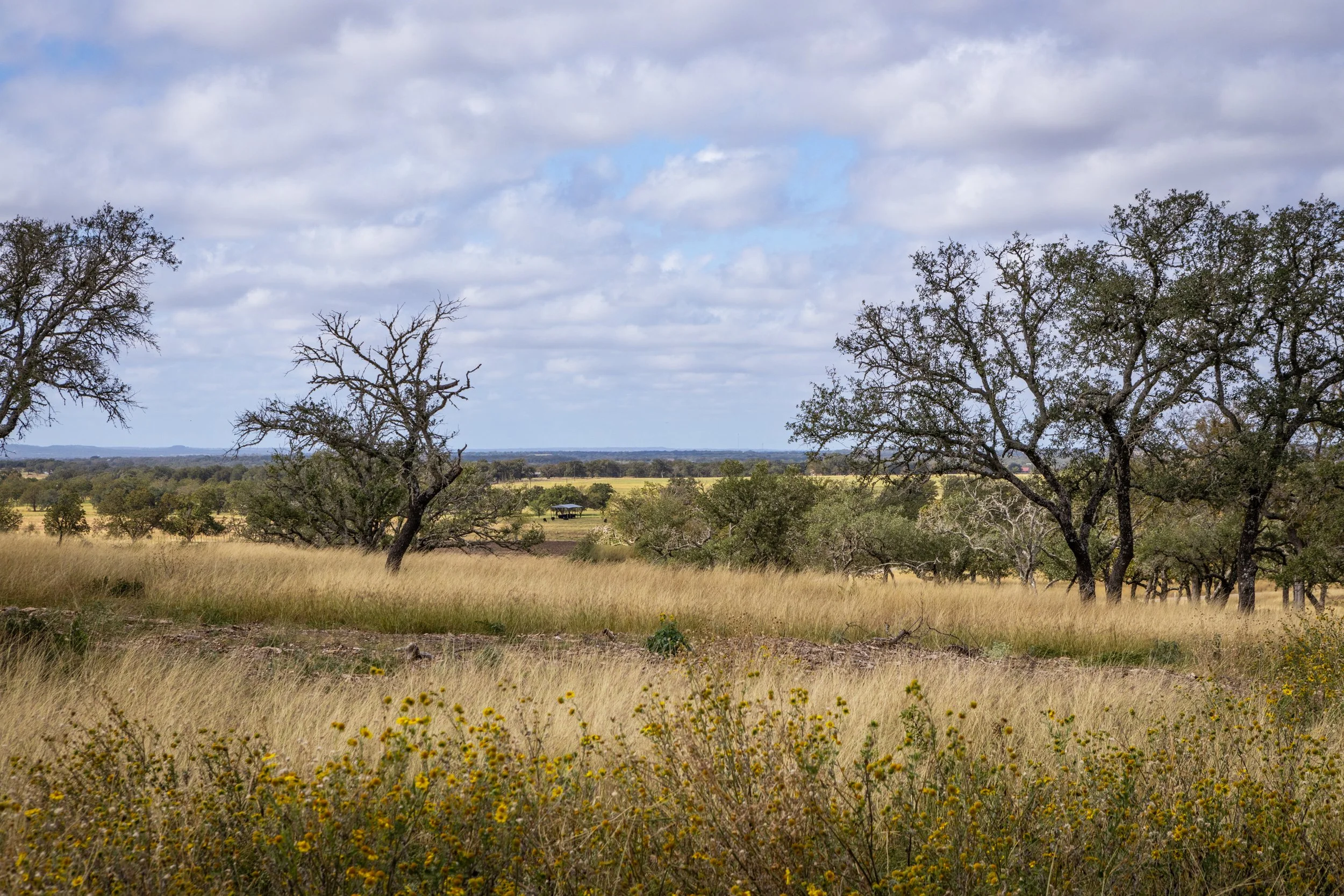 Lots — HOMESTEAD 24