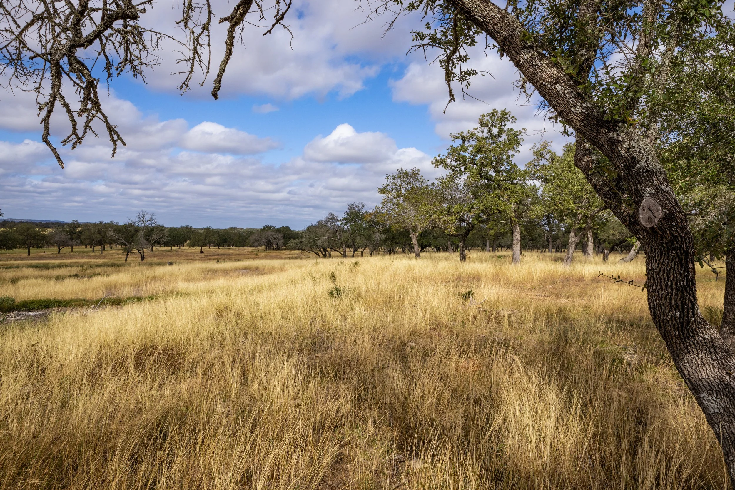 Lots — HOMESTEAD 24