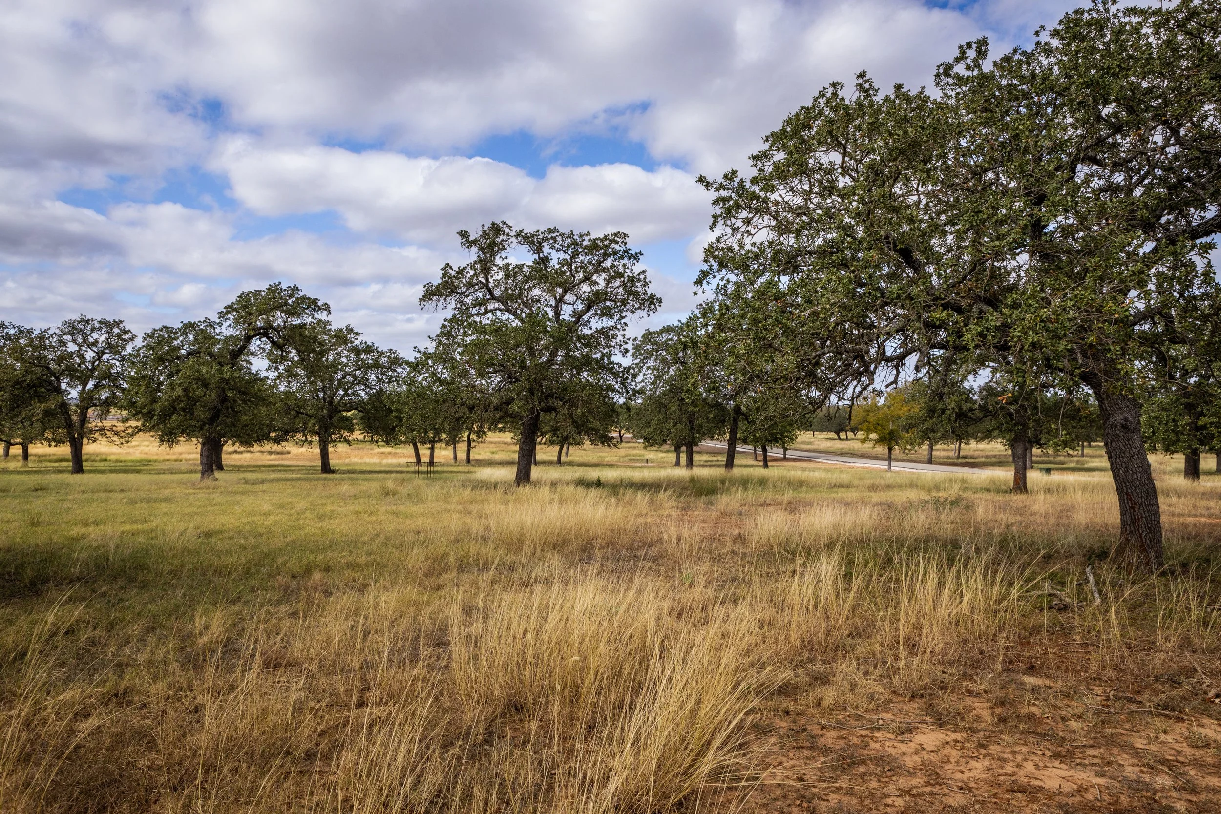 Lots — HOMESTEAD 24