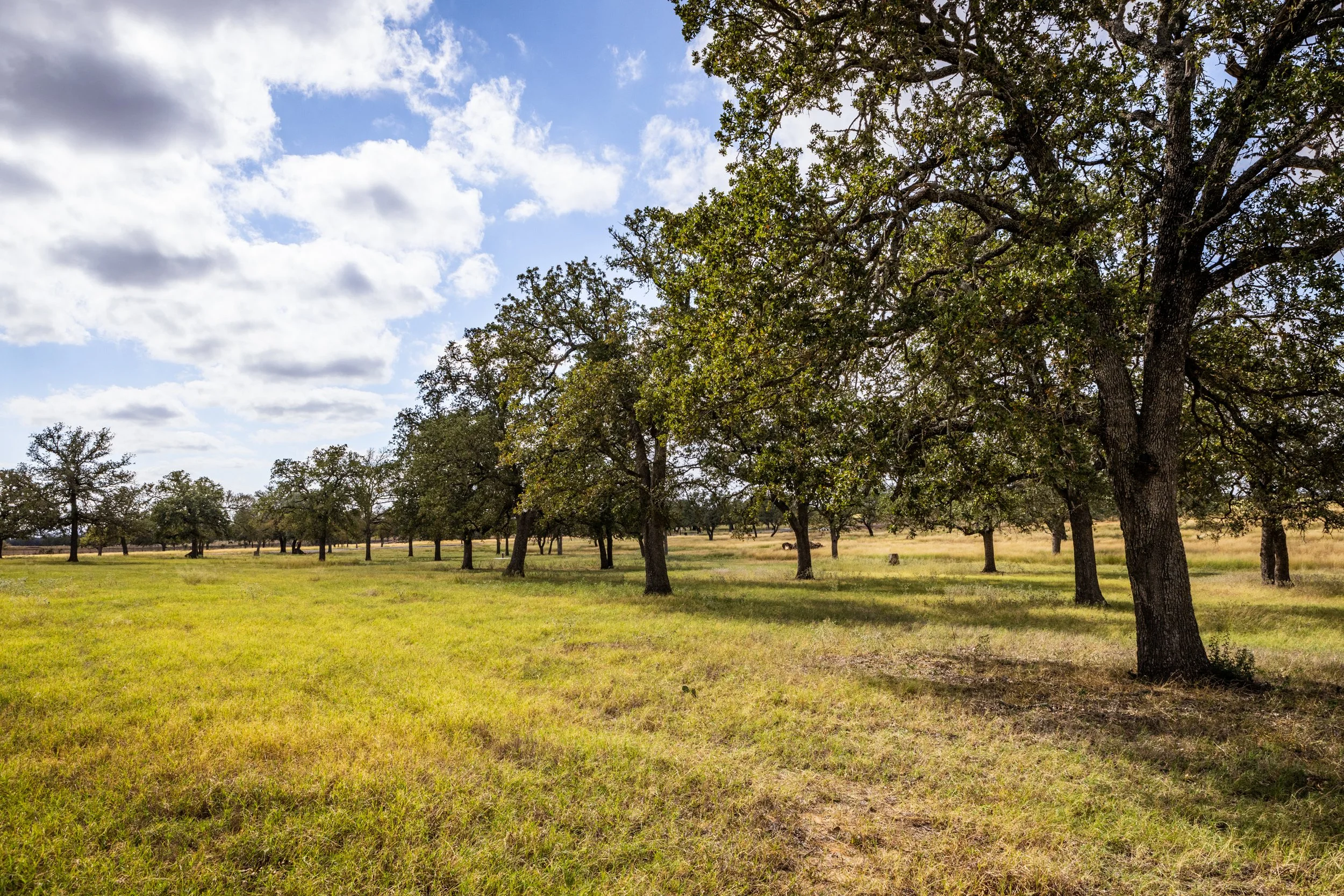 Lots — HOMESTEAD 24