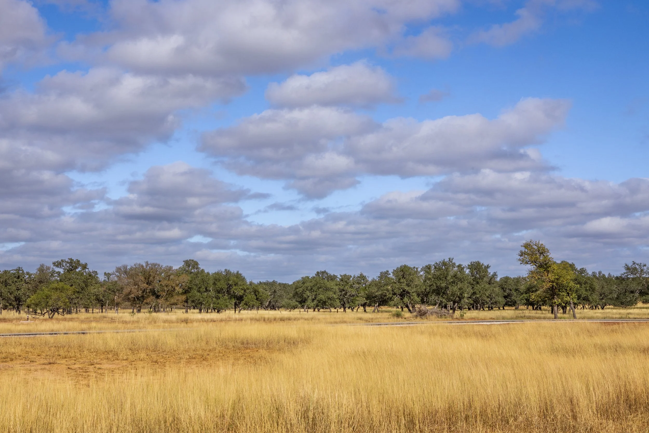 Lots — HOMESTEAD 24