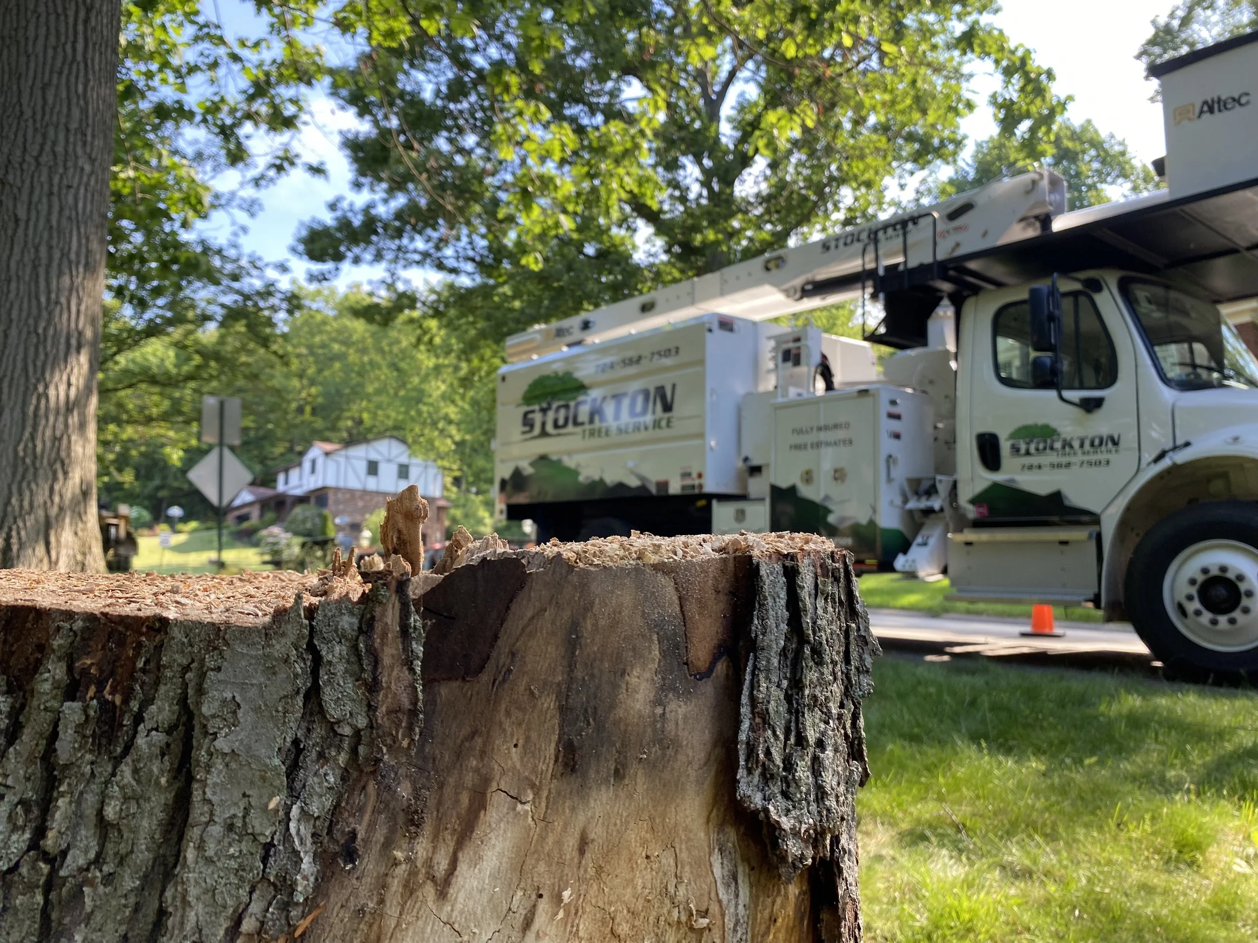 Stockton Tree Service- Serving Greensburg, Pa & Surrounding Areas