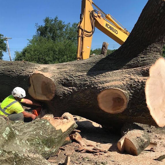 Stockton Tree Service- Serving Greensburg, Pa & Surrounding Areas