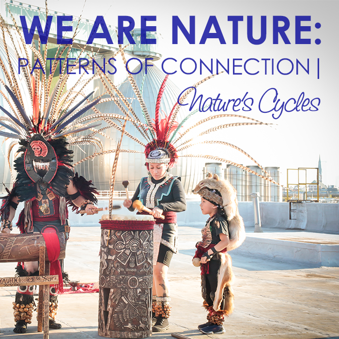 WE ARE NATURE — NOoSPHERE Arts