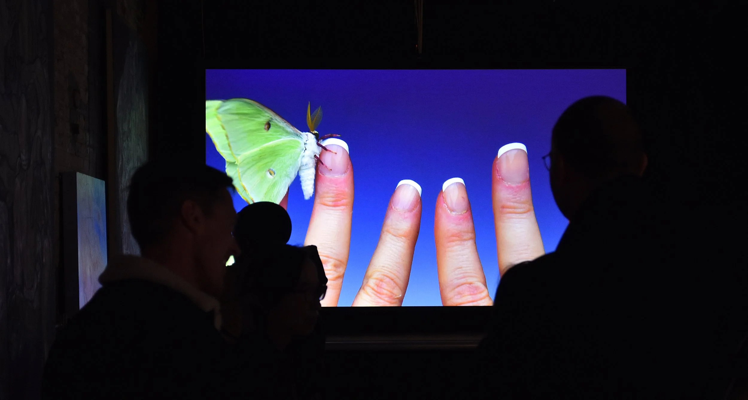 EXHIBITIONS — NOoSPHERE Arts