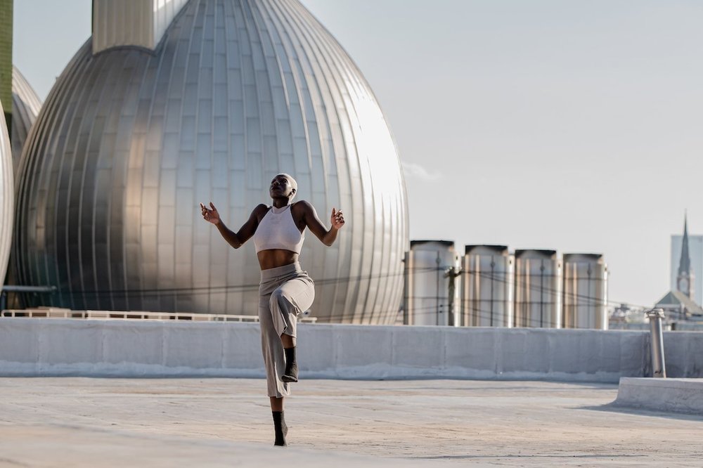 WE ARE NATURE — NOoSPHERE Arts