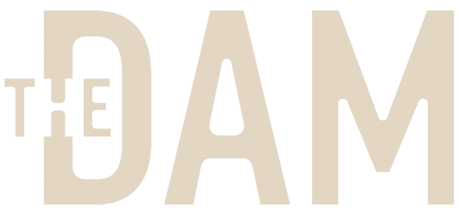 Summer Music Line-up — The Dam