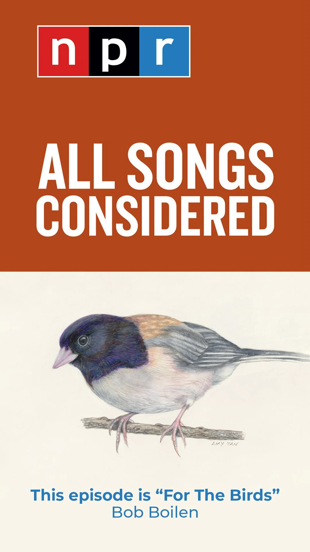 The Birdsong Project