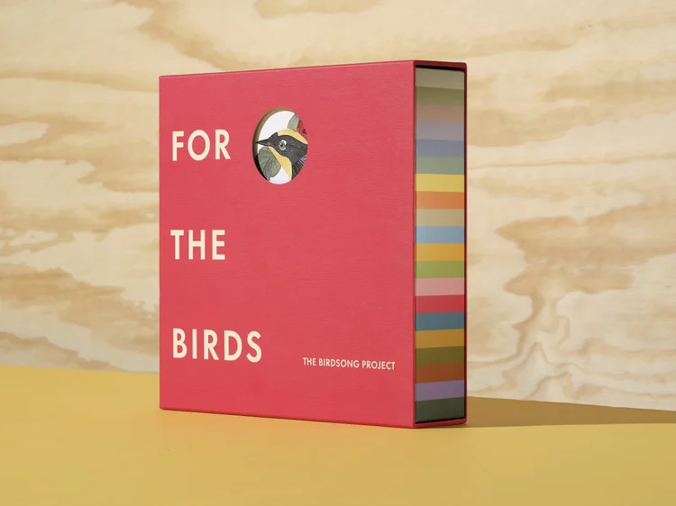 For The Birds: The Birdsong Project — The Birdsong Project