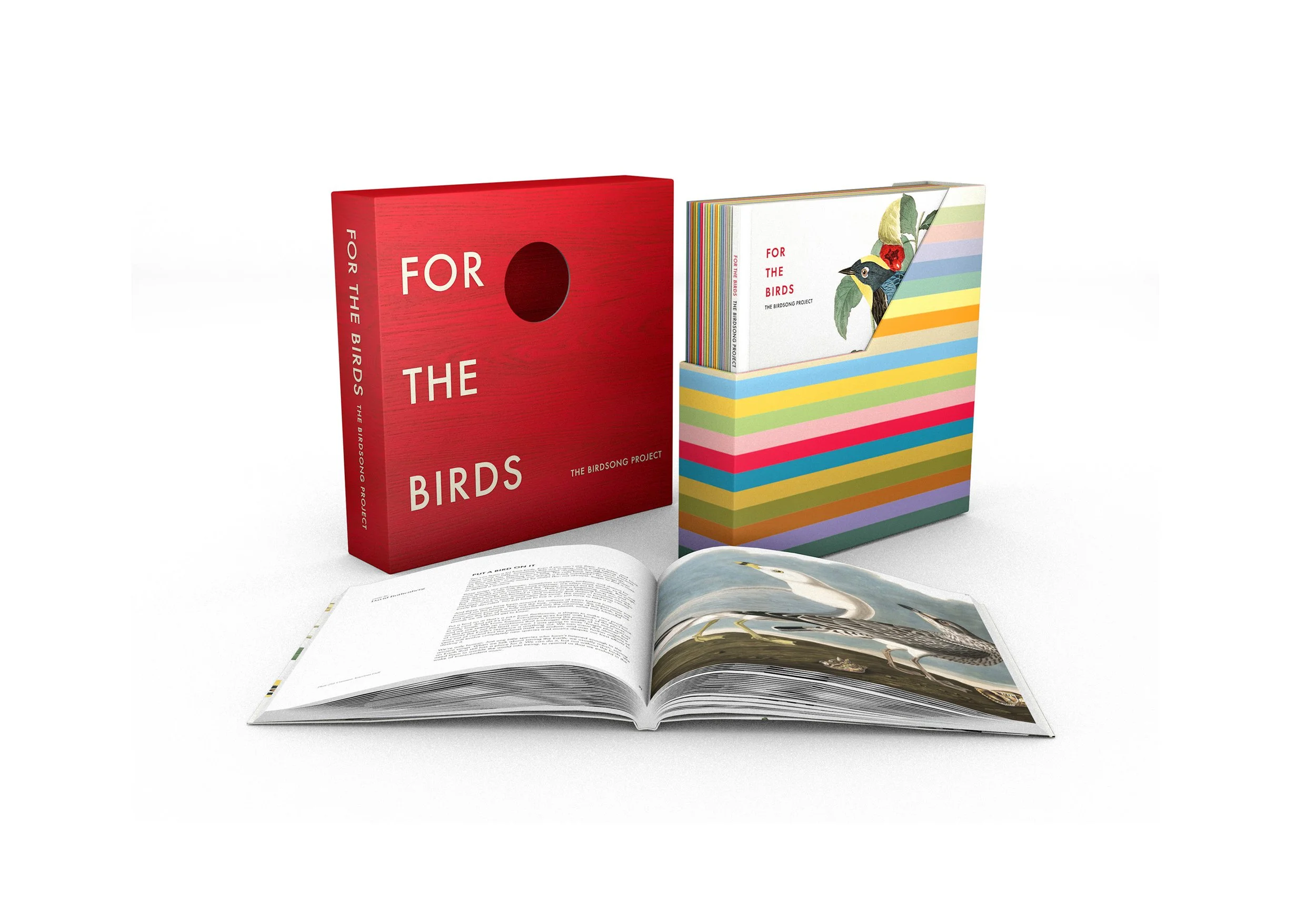 For The Birds: The Birdsong Project — The Birdsong Project