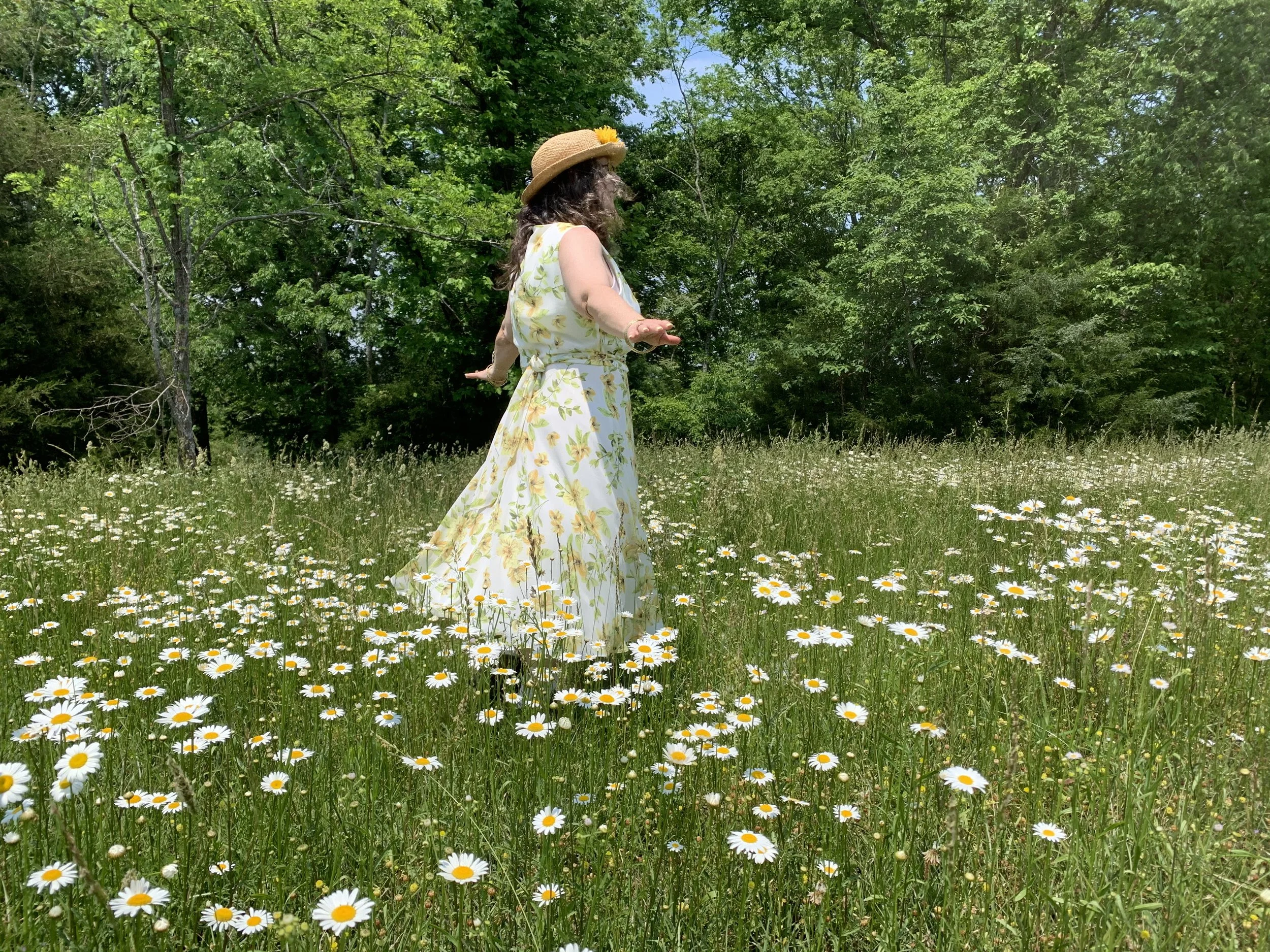 Photos — Wildflower Farm