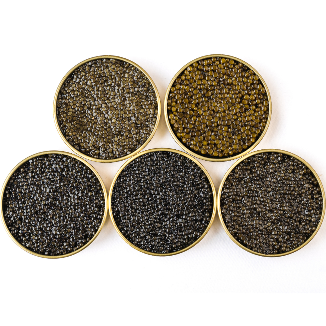 Caviar Collection Gift Set — Polanco Caviar