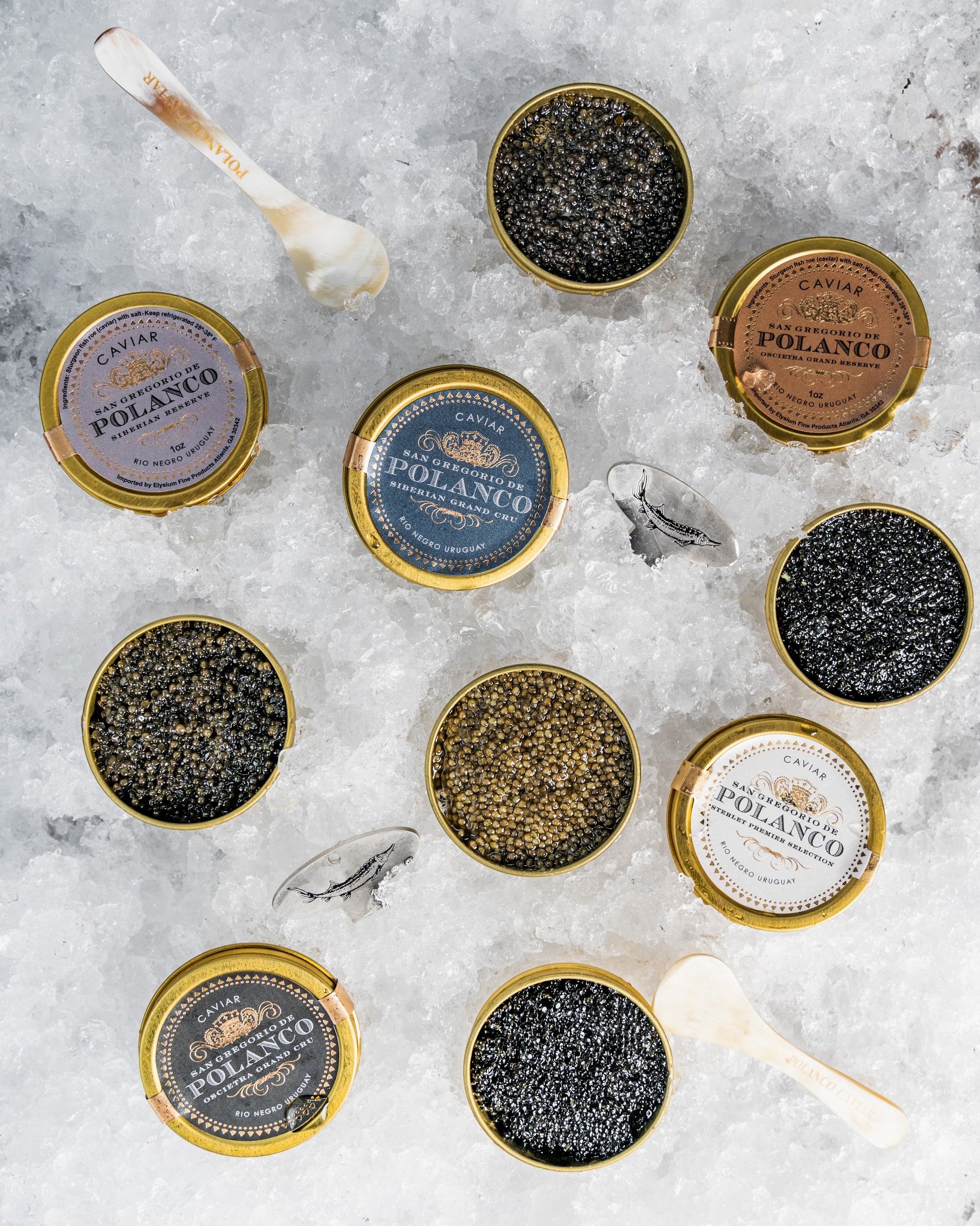 Our Caviar — Polanco Caviar