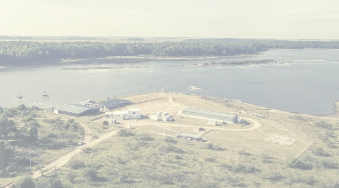 Our Farm — Polanco Caviar