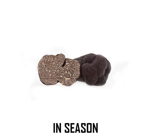 Fresh Truffles Canada | Buy Online & Fast Delivery — Caviar Foodie