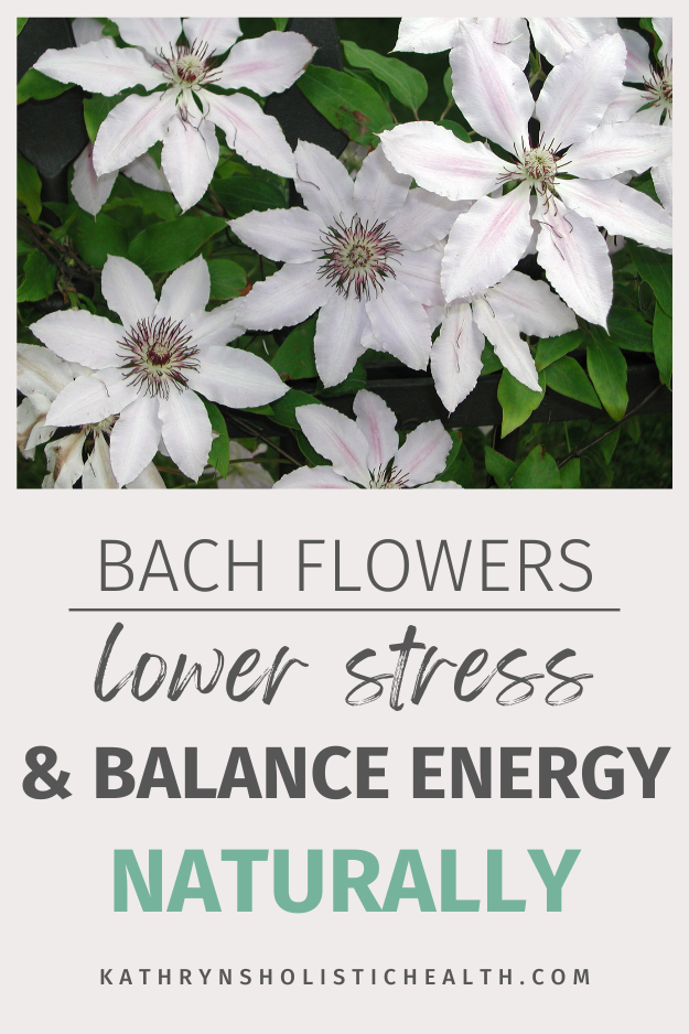 Learn How to Use Bach Flowers — Kathryn's Holistic Health