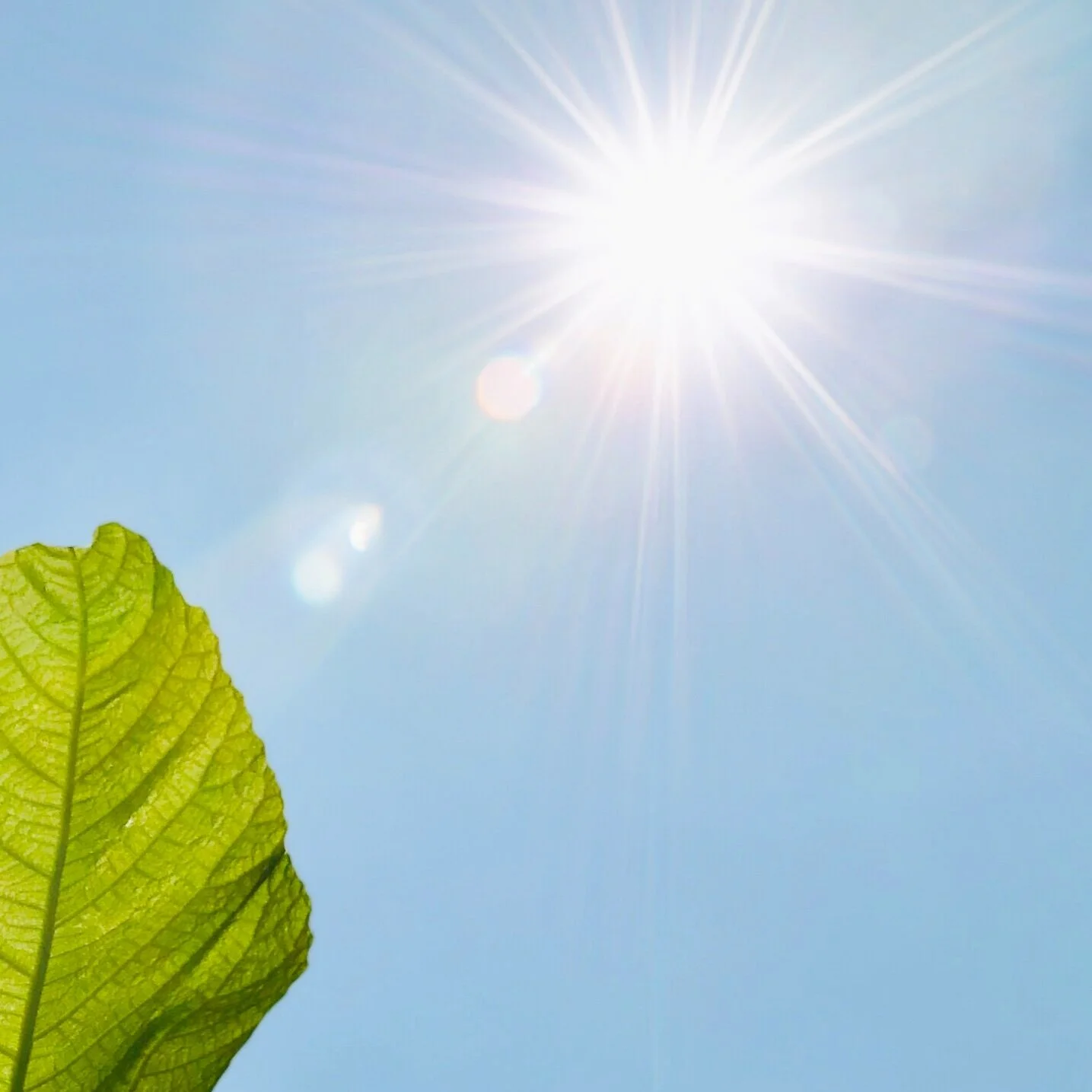 Foundations of Natural Health — Kathryn's Holistic Health