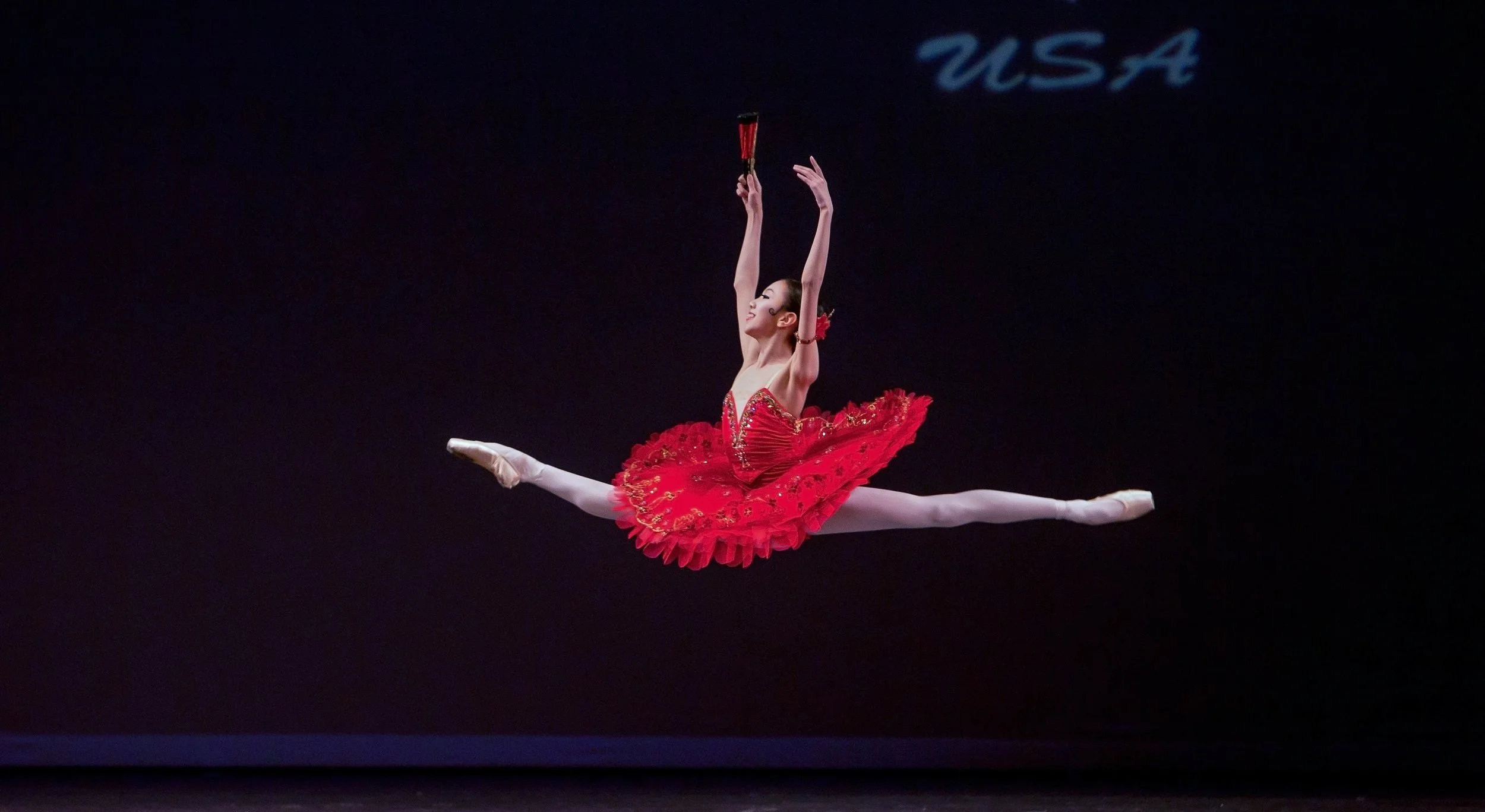 Application Details — World Ballet Competition