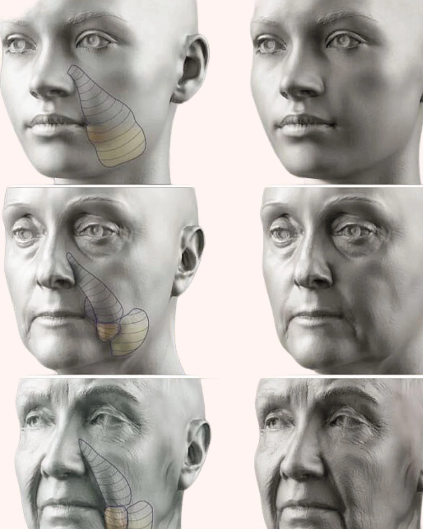 Dr. med. Sanam Baratzadeh - Arztpraxis für ästhetische Medizin