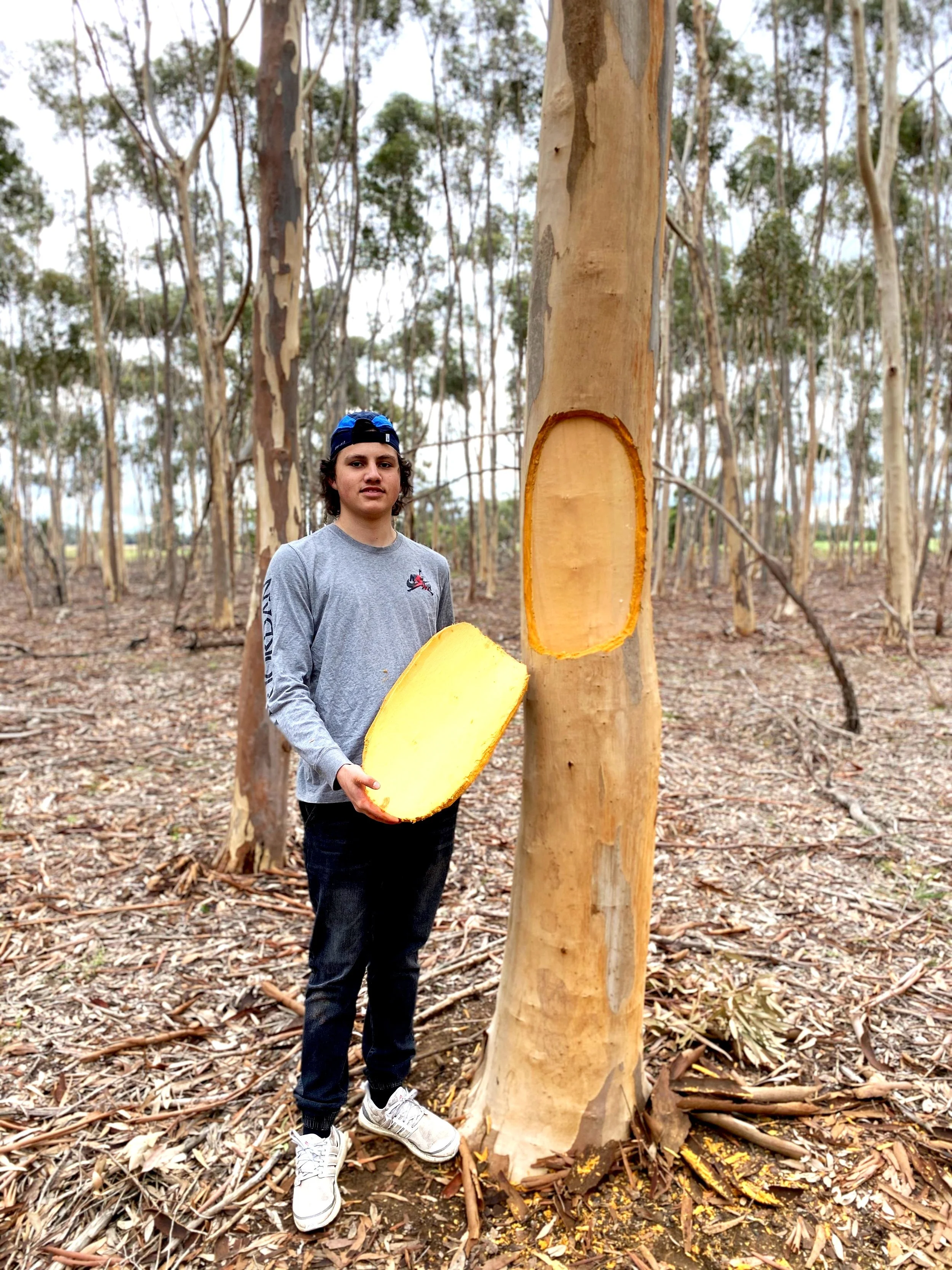 Strong Brother Strong Sister Foundation