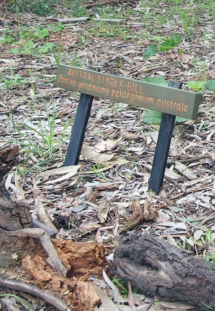 Park Volunteer Group — Save Albert Park