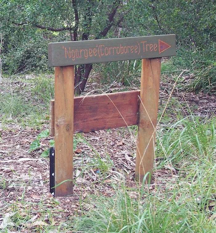 Park Volunteer Group — Save Albert Park