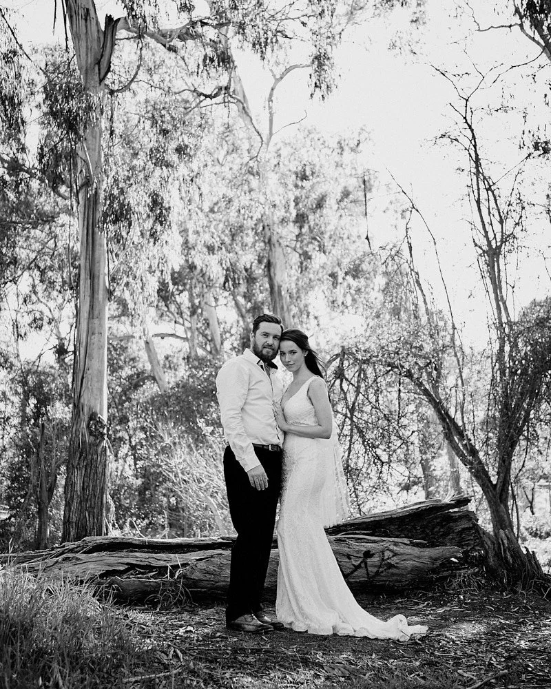 Portfolio — Tempest Photography