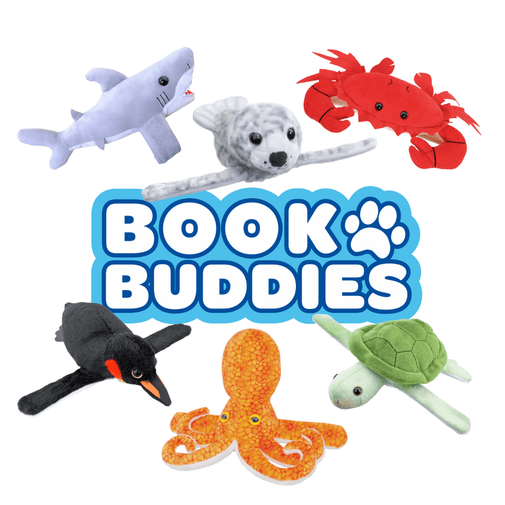 SchoolStore Program