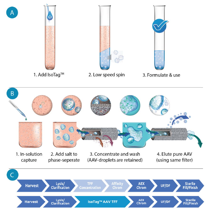 Technology — Isolere Bio
