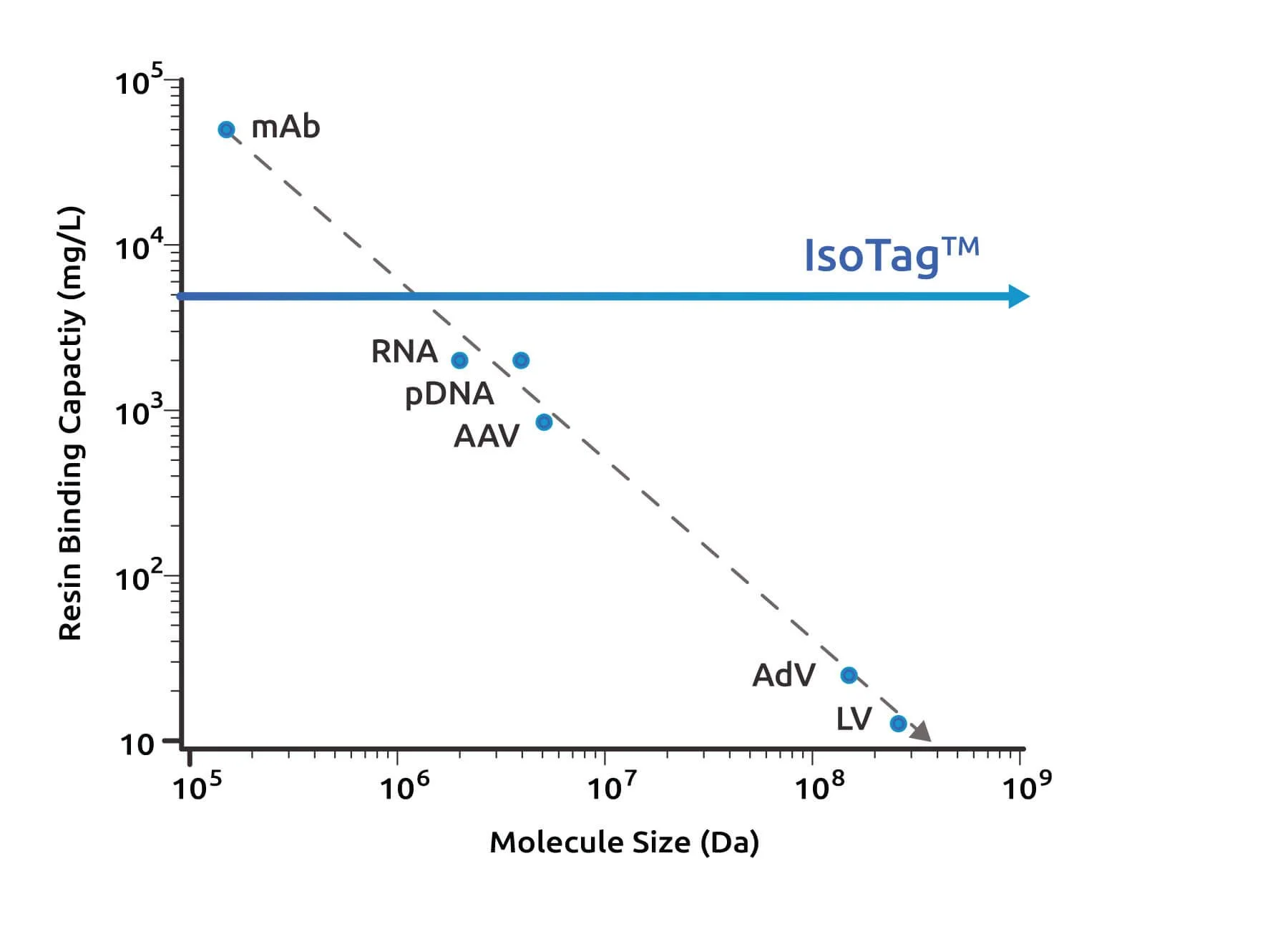 Technology — Isolere Bio