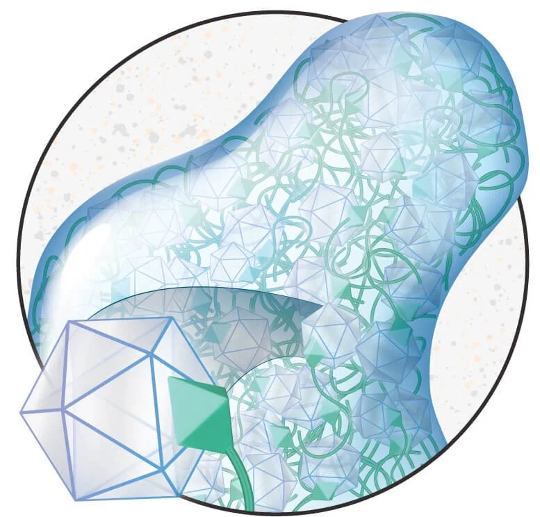 Technology — Isolere Bio