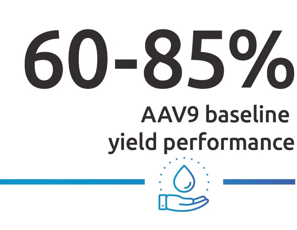 IsoTag™ AAV — Isolere Bio