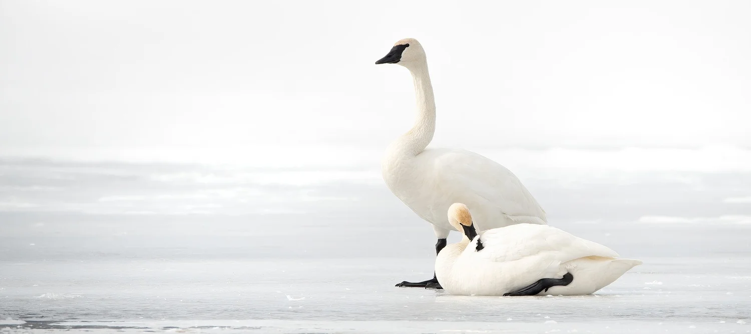 Jean Singer Photography - Fine art prints, wall art and greeting cards