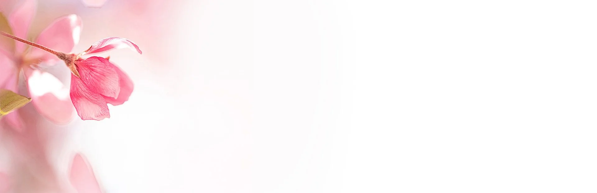 Jean Singer Photography - Fine art prints, wall art and greeting cards