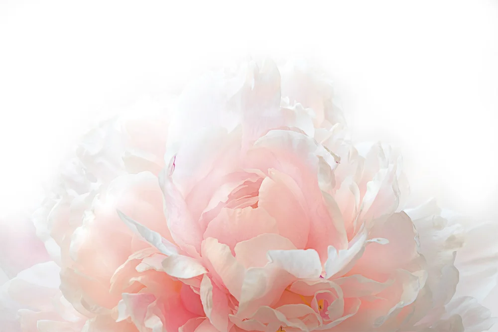 Jean Singer Photography - Fine art prints, wall art and greeting cards