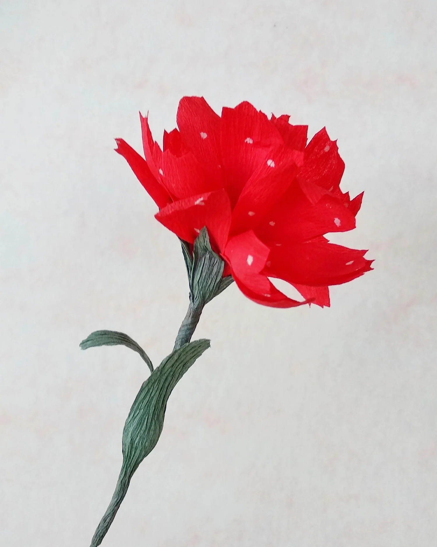 Cómo hacer claveles de papel crepé | Nikua | Artesanía botánica en ...