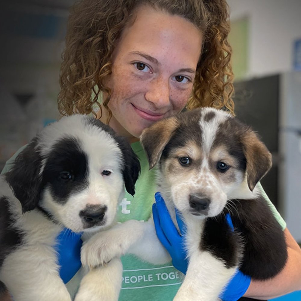 Partnerships — BestyBnB