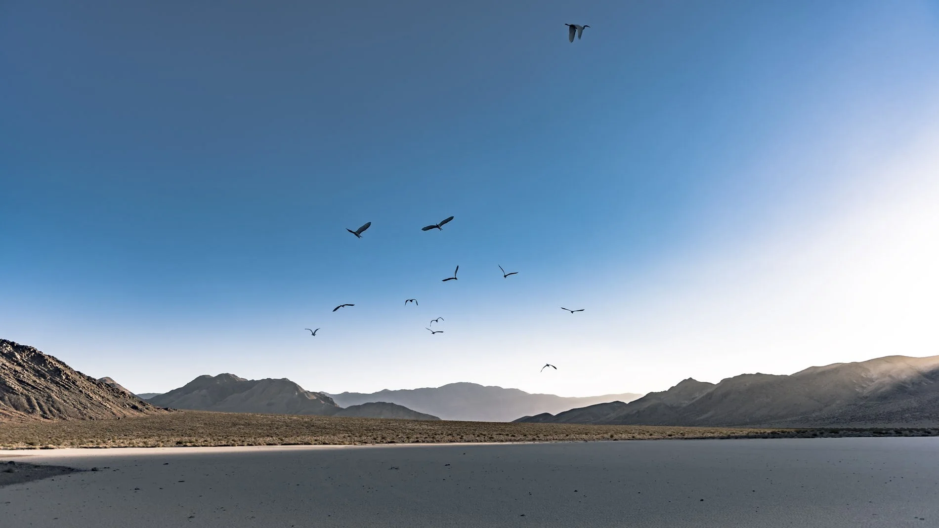 Portfolio — Moonloop Photography LLC