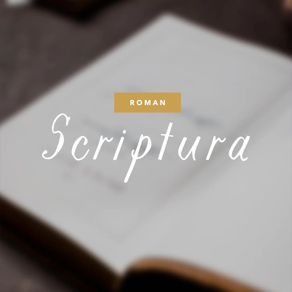 Scriptura Bibles — Calligraphy