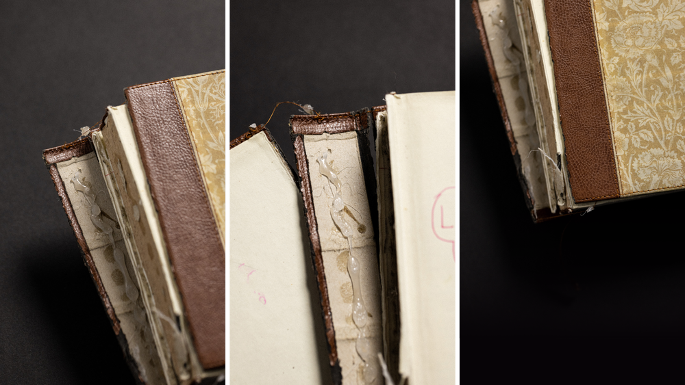 Scriptura Bibles — Bible Restoration Testimonial