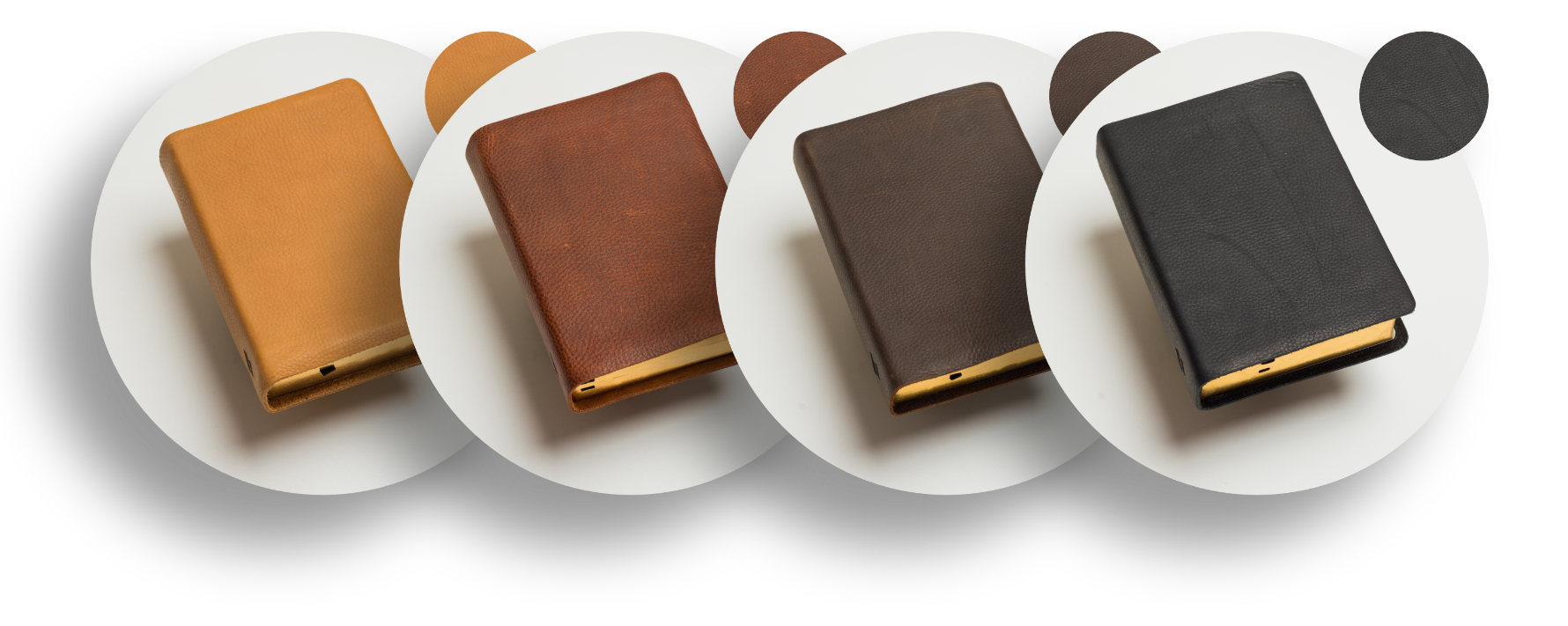Scriptura Bibles