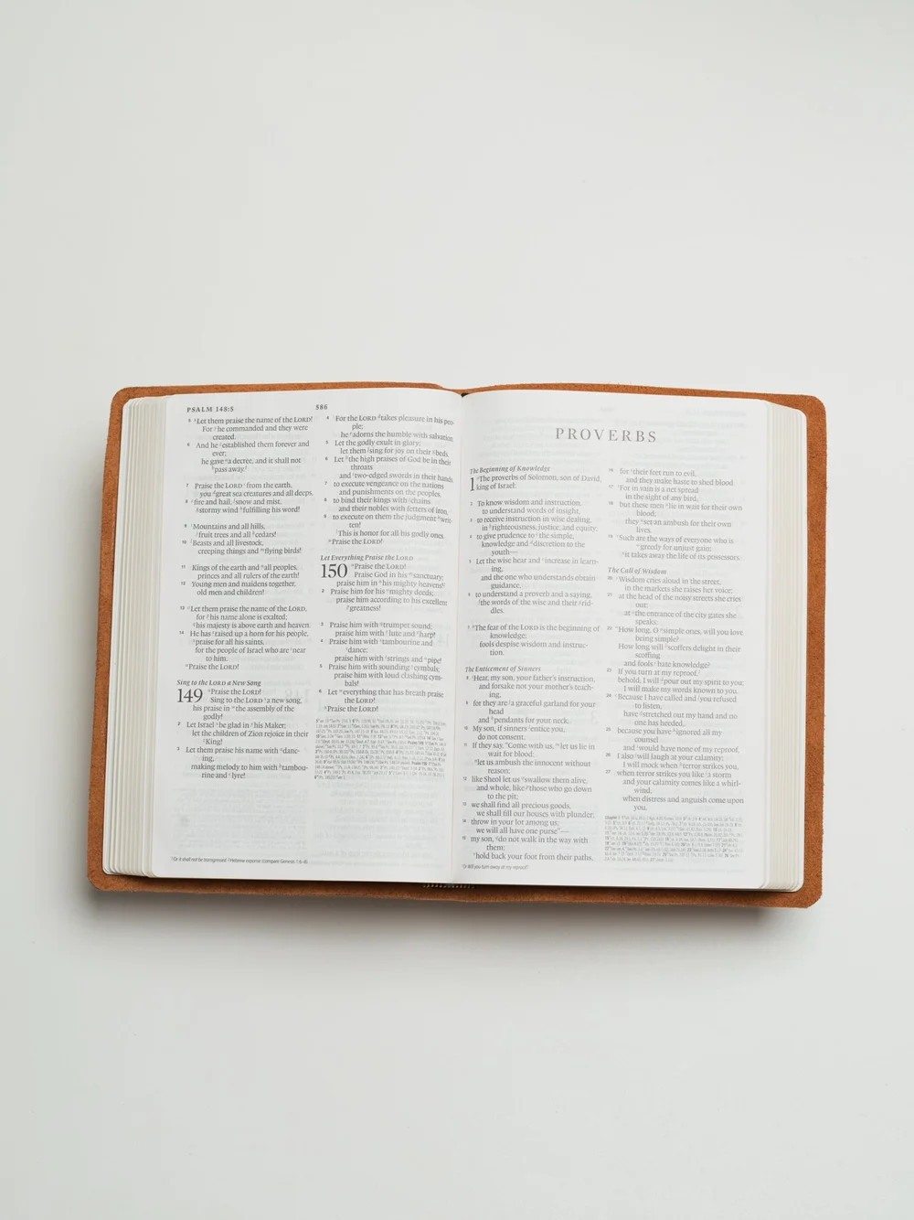 Scriptura Bibles — ESV Compact Bible